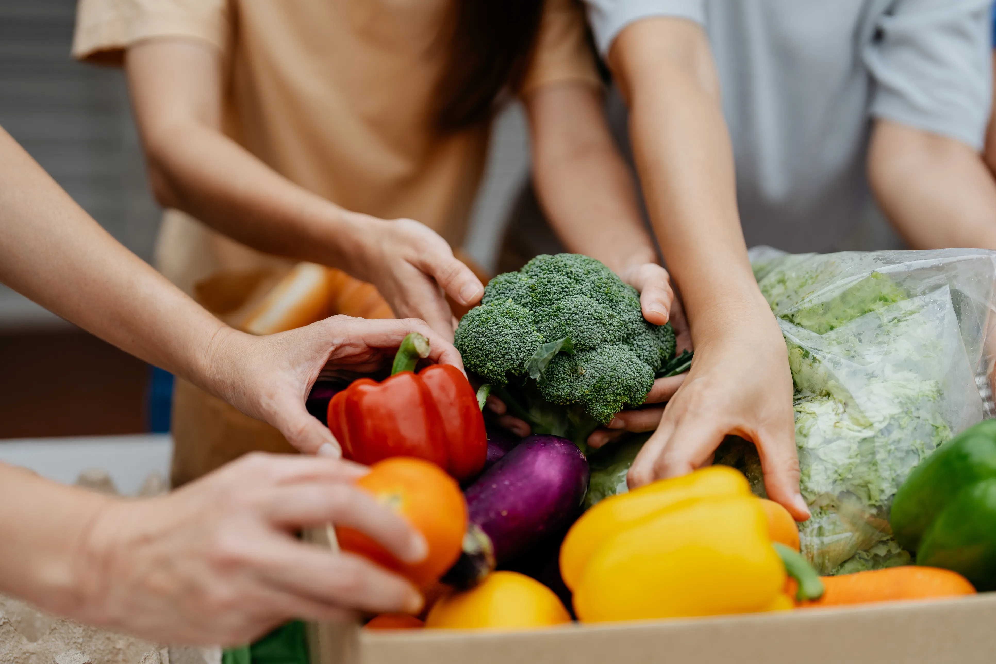 Food Assistance (SNAP) | Fairfield County Job and Family Services